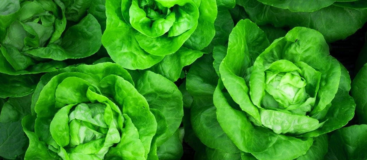 Niño Gamer | Tienda de @Lechu